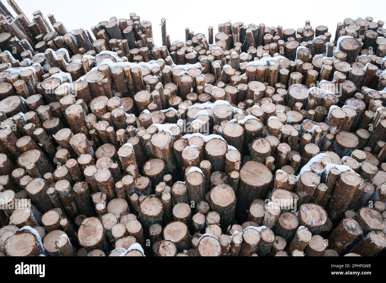 Logs paper mill hi-res stock photography and images - Alamy