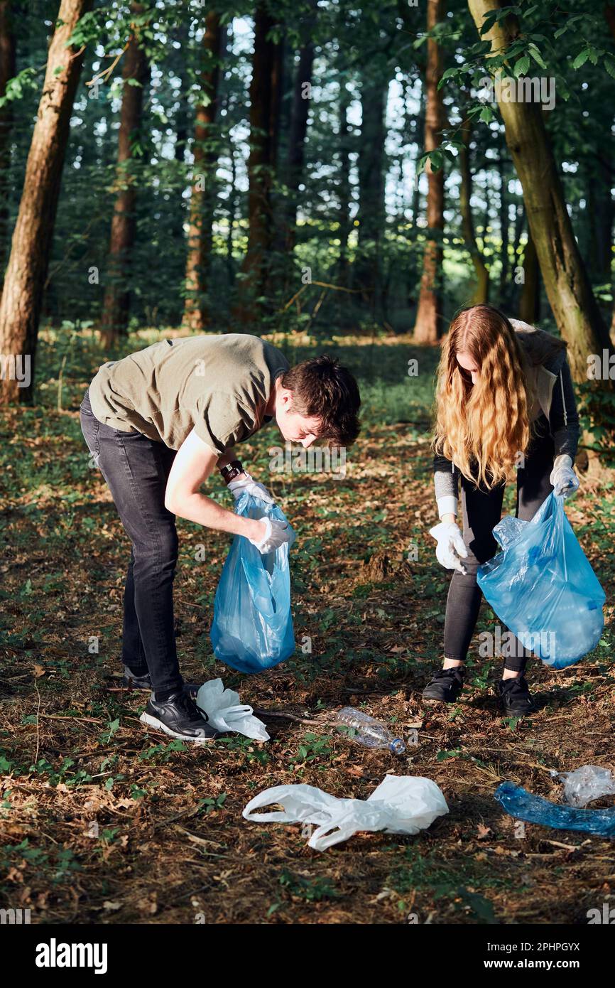 Cleaning up the woods hi-res stock photography and images - Alamy
