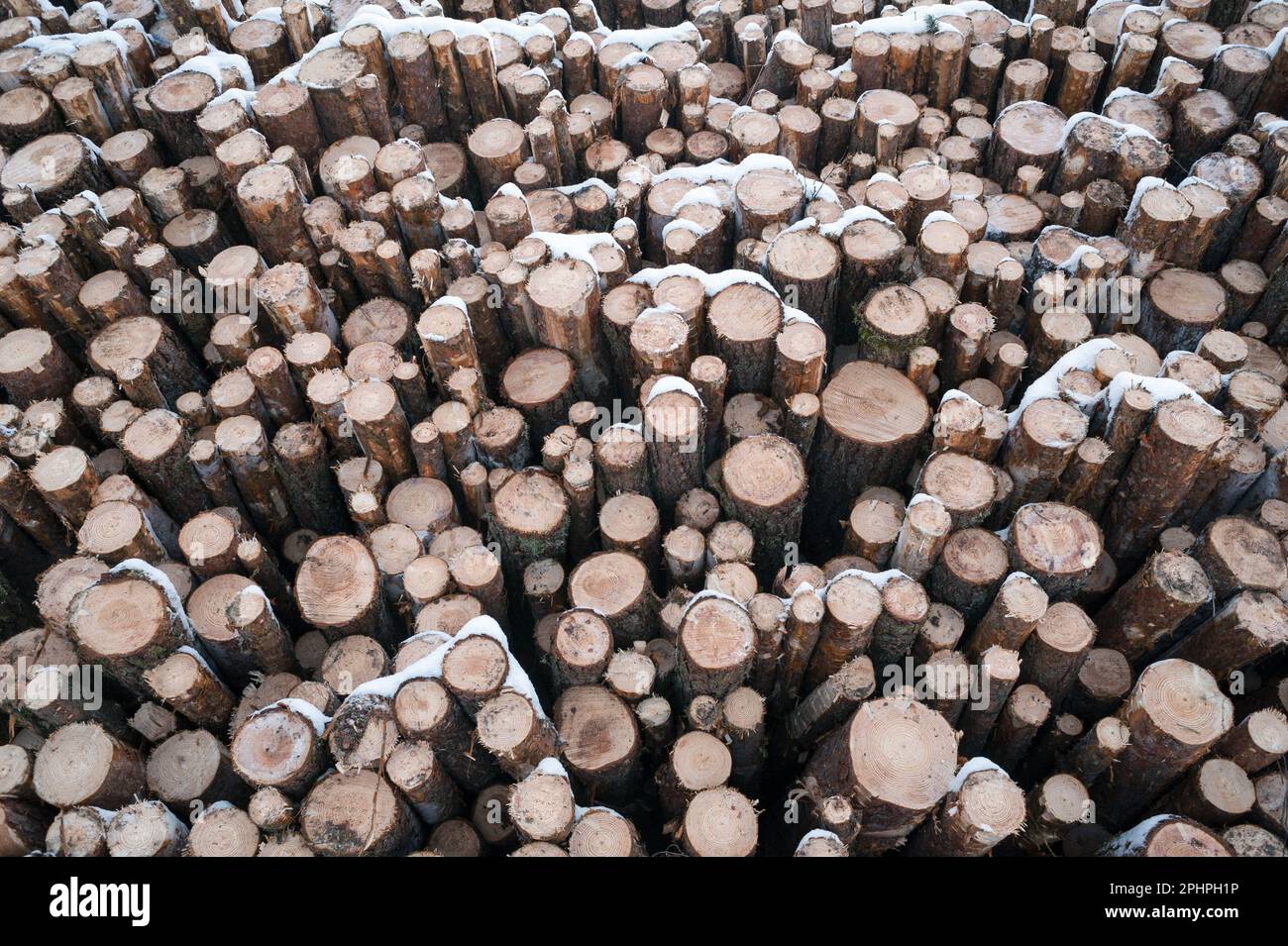 Woodpile deforestation hi-res stock photography and images - Alamy