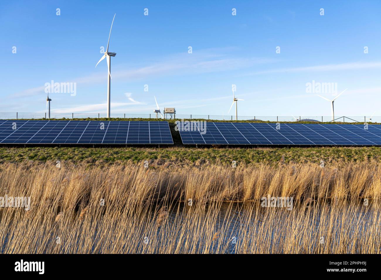 Solar park on the Slaperdijk dyke near the Eemshaven, test project ...