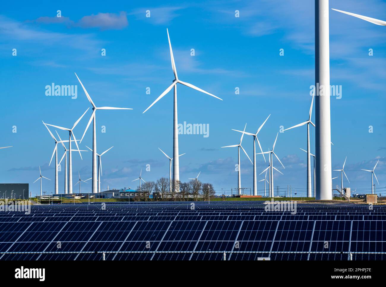 Vopak Solarpark Eemshaven, 19 hectares of solar modules with a capacity ...