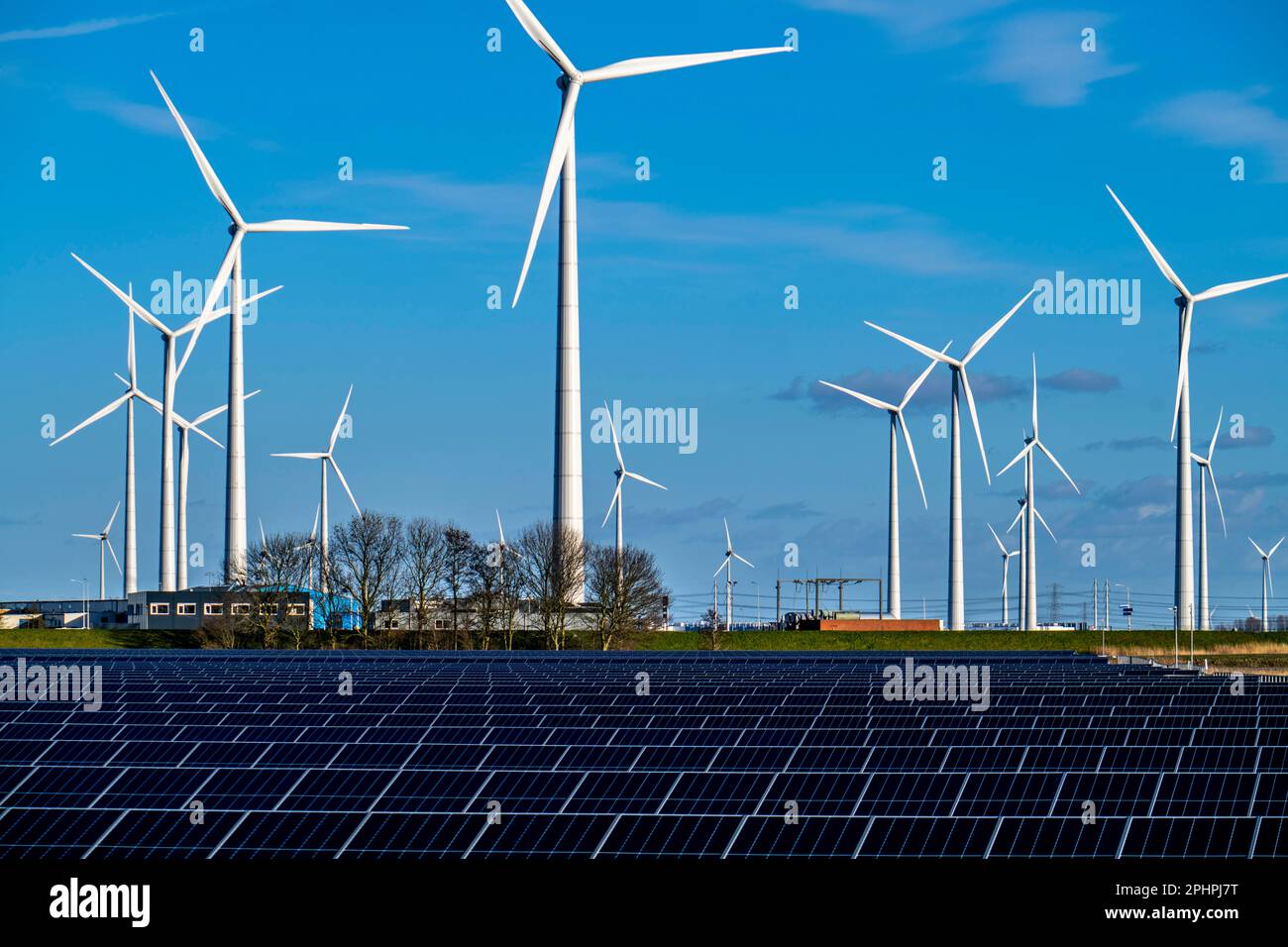 Vopak Solarpark Eemshaven, 19 hectares of solar modules with a capacity ...