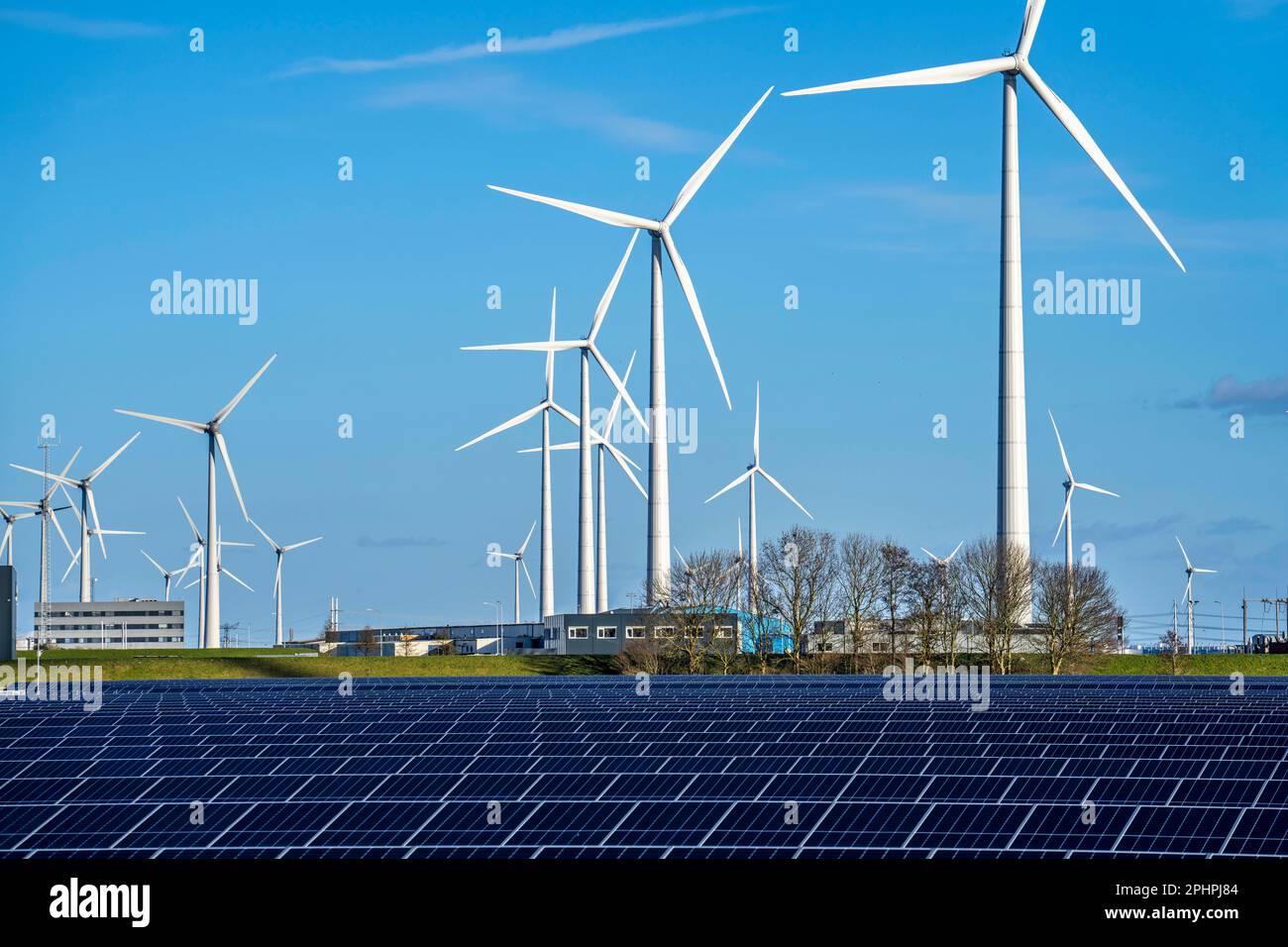 Vopak Solarpark Eemshaven, 19 hectares of solar modules with a capacity ...