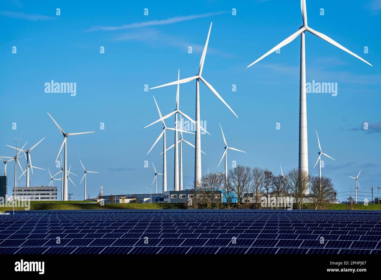 Vopak Solarpark Eemshaven, 19 hectares of solar modules with a capacity ...