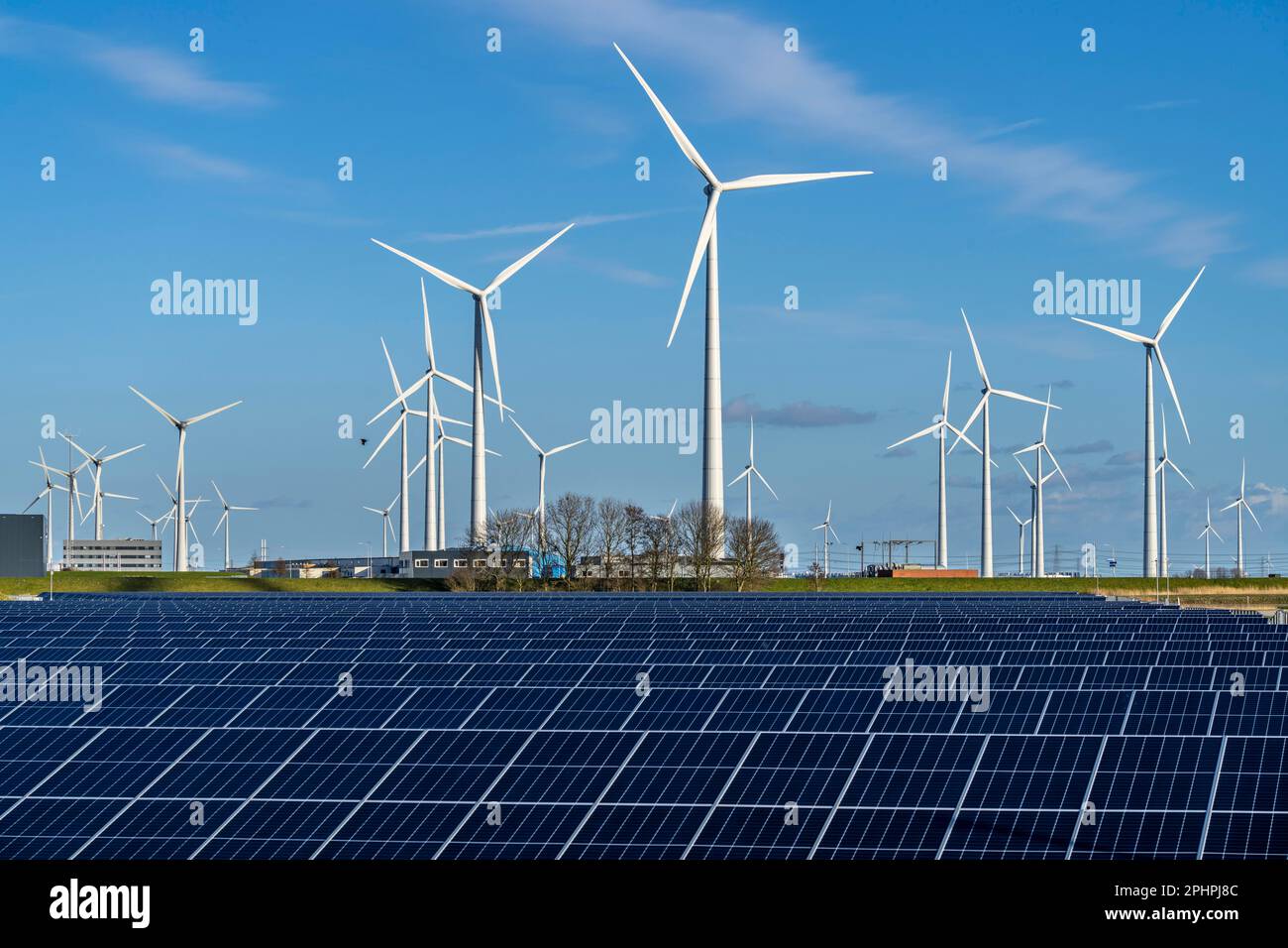 Vopak Solarpark Eemshaven, 19 hectares of solar modules with a capacity ...