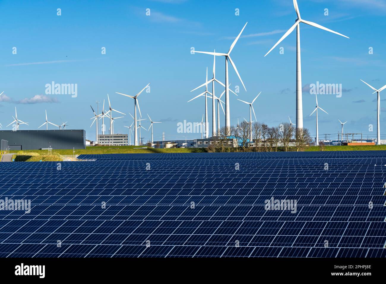 Vopak Solarpark Eemshaven, 19 hectares of solar modules with a capacity ...