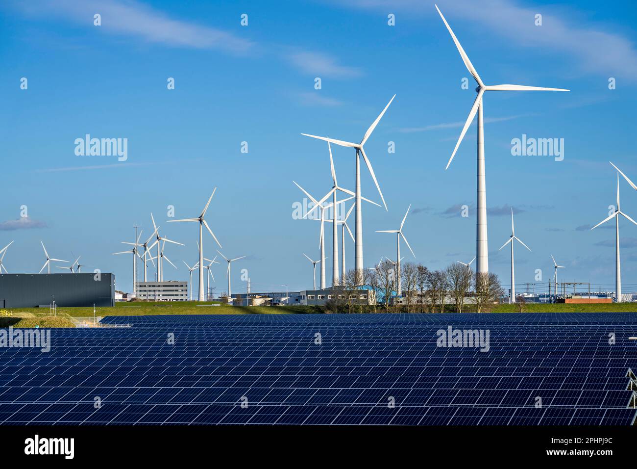 Vopak Solarpark Eemshaven, 19 hectares of solar modules with a capacity ...