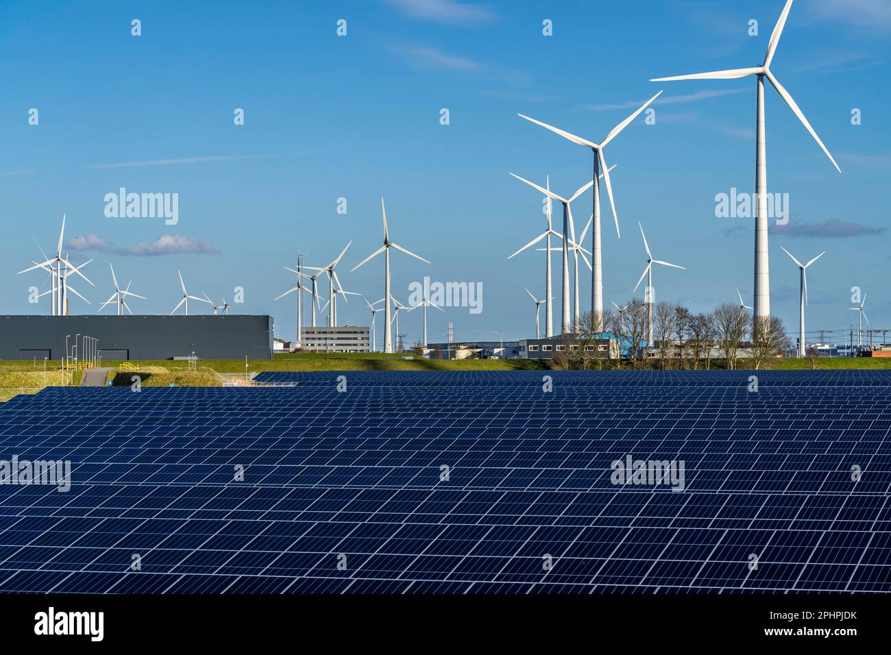 Vopak Solarpark Eemshaven, 19 hectares of solar modules with a capacity ...