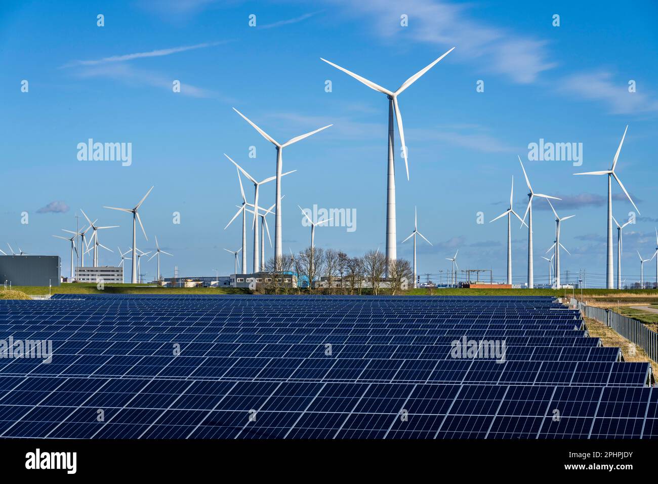 Vopak Solarpark Eemshaven, 19 hectares of solar modules with a capacity ...