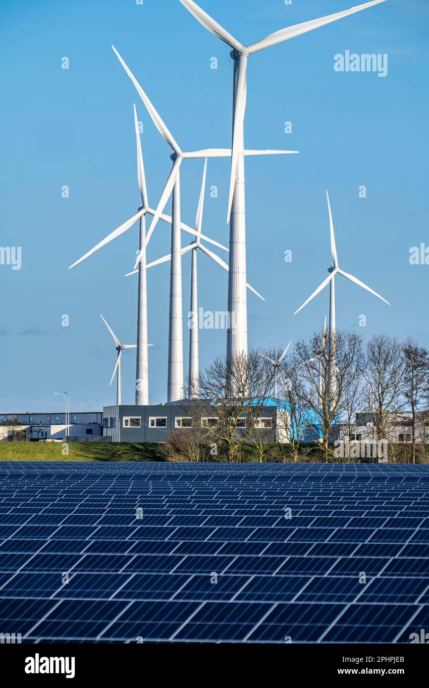 Vopak solarpark eemshaven hi-res stock photography and images - Alamy