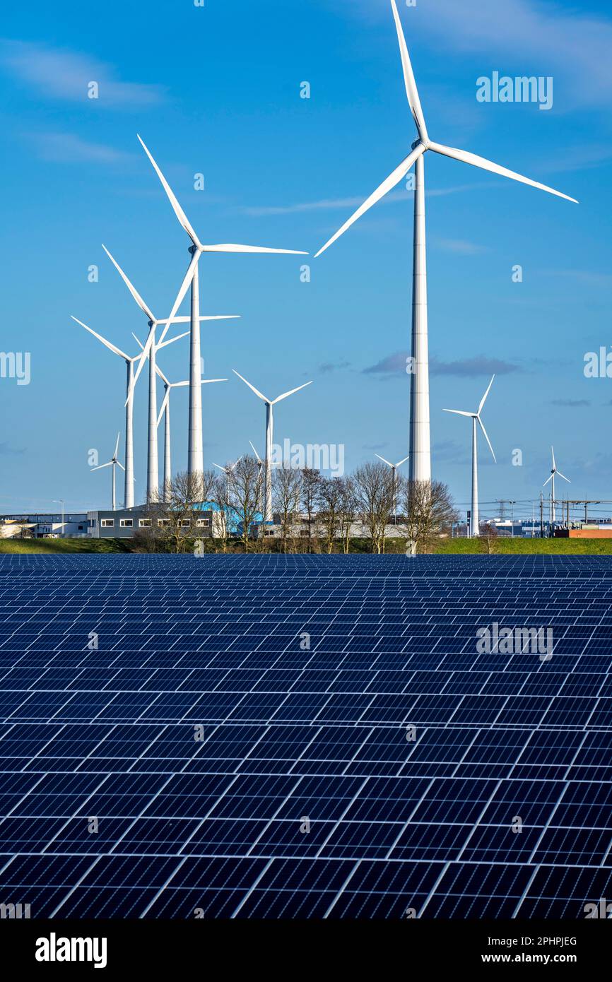 Vopak Solarpark Eemshaven, 19 hectares of solar modules with a capacity ...