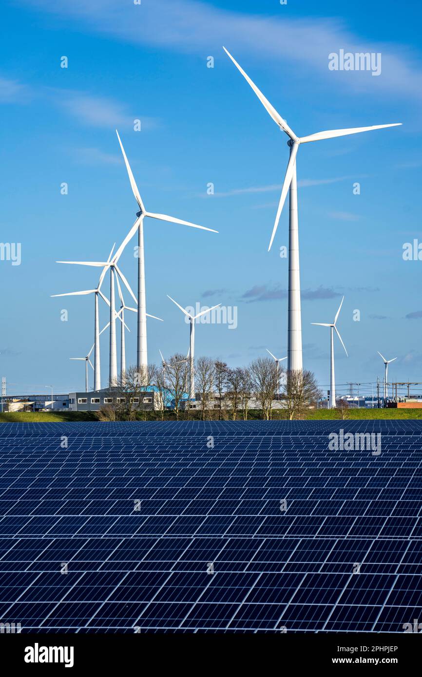 Vopak Solarpark Eemshaven, 19 hectares of solar modules with a capacity ...