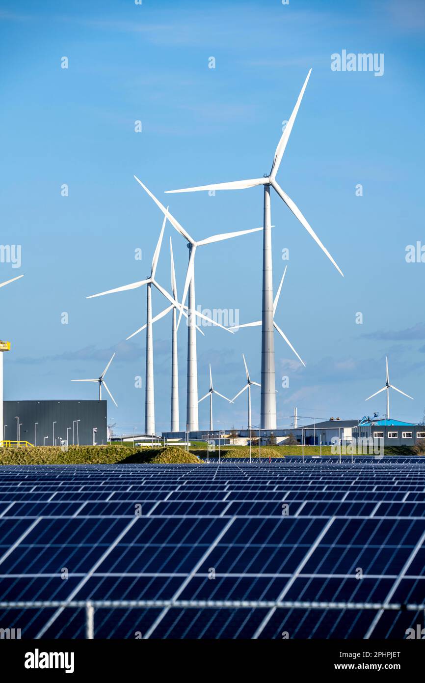 Vopak Solarpark Eemshaven, 19 hectares of solar modules with a capacity ...