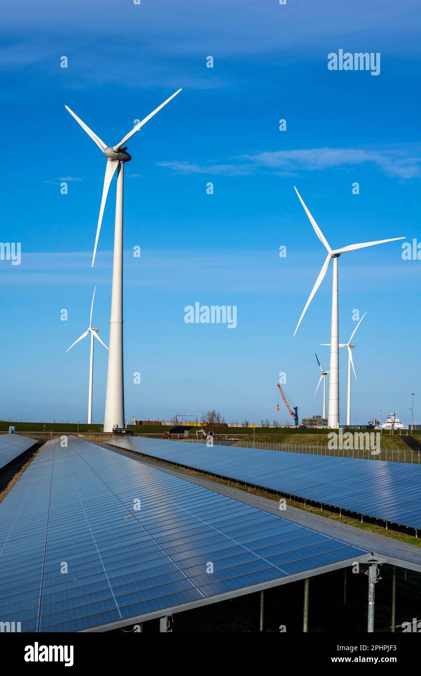 Vopak Solarpark Eemshaven, 19 hectares of solar modules with a capacity ...