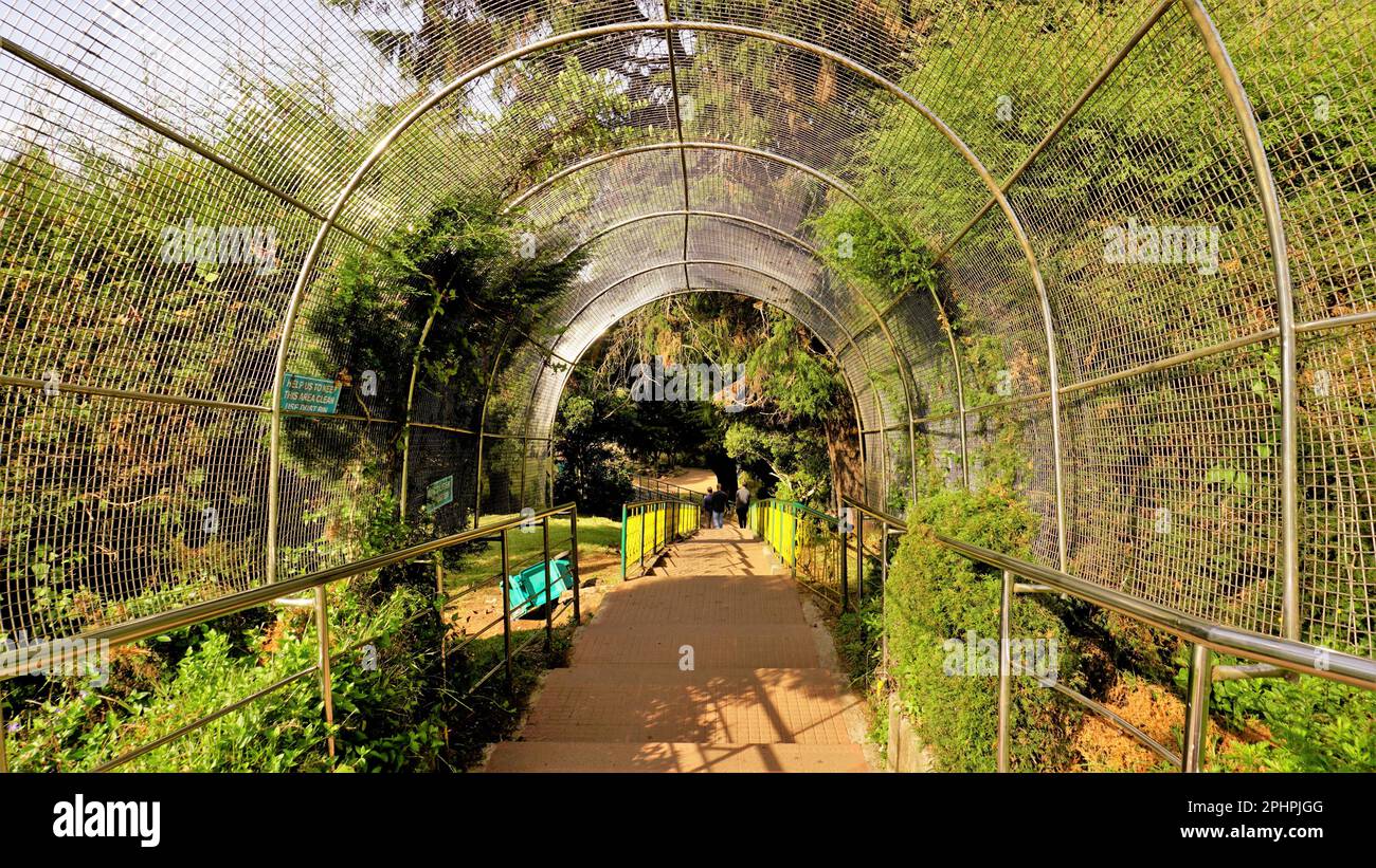 Walkway or path to the view points at the Top of Doddabetta peak from ...