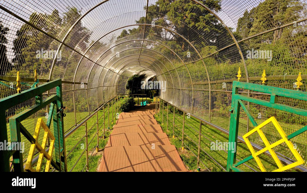 Walkway or path to the view points at the Top of Doddabetta peak from ...