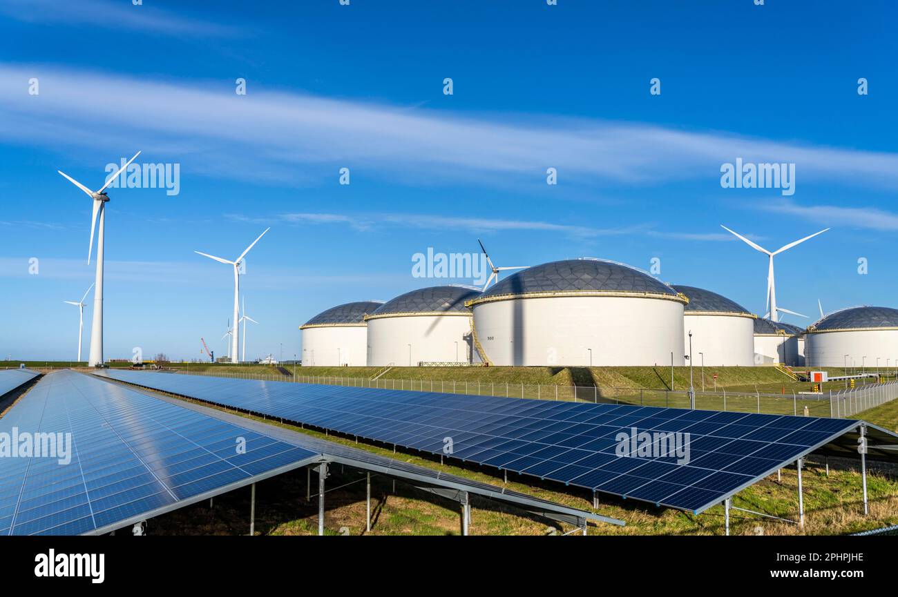 Vopak Solarpark Eemshaven, 19 hectares of solar modules with a capacity ...