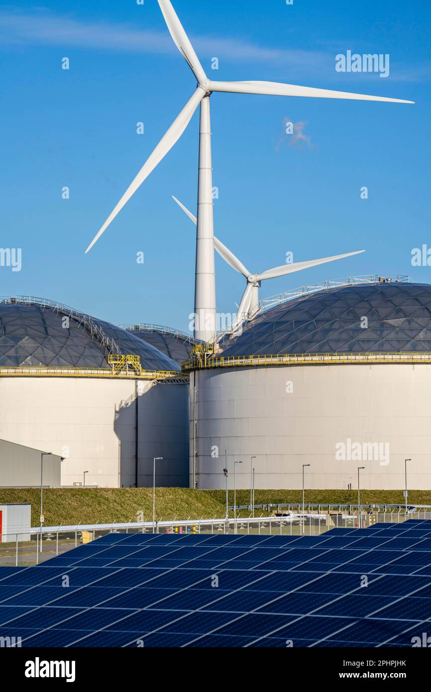 Vopak Solarpark Eemshaven, 19 hectares of solar modules with a capacity ...