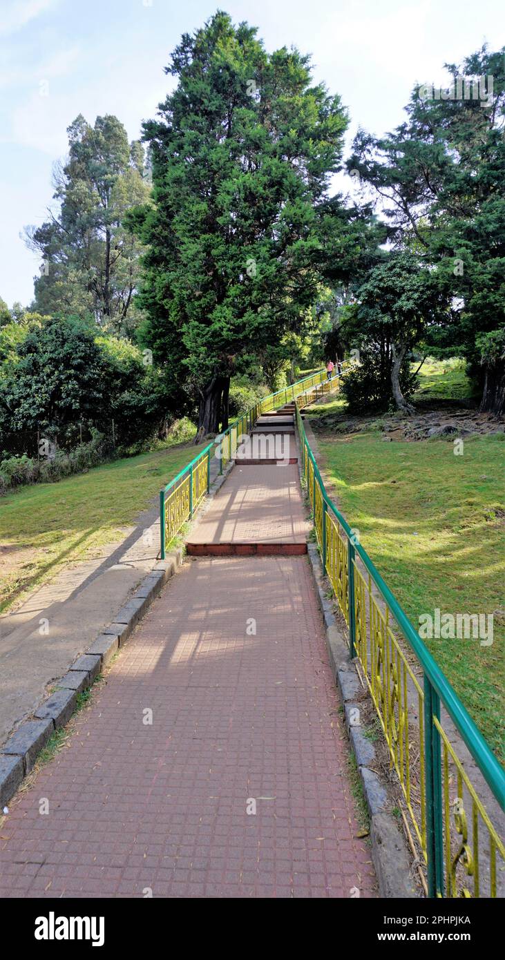 Walkway or path to the view points at the Top of Doddabetta peak from ...