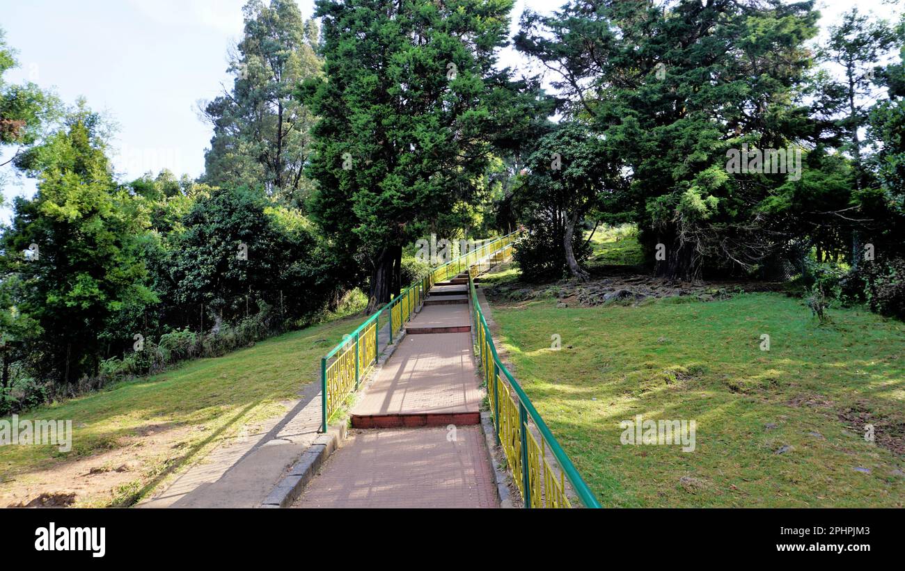 Walkway or path to the view points at the Top of Doddabetta peak from ...