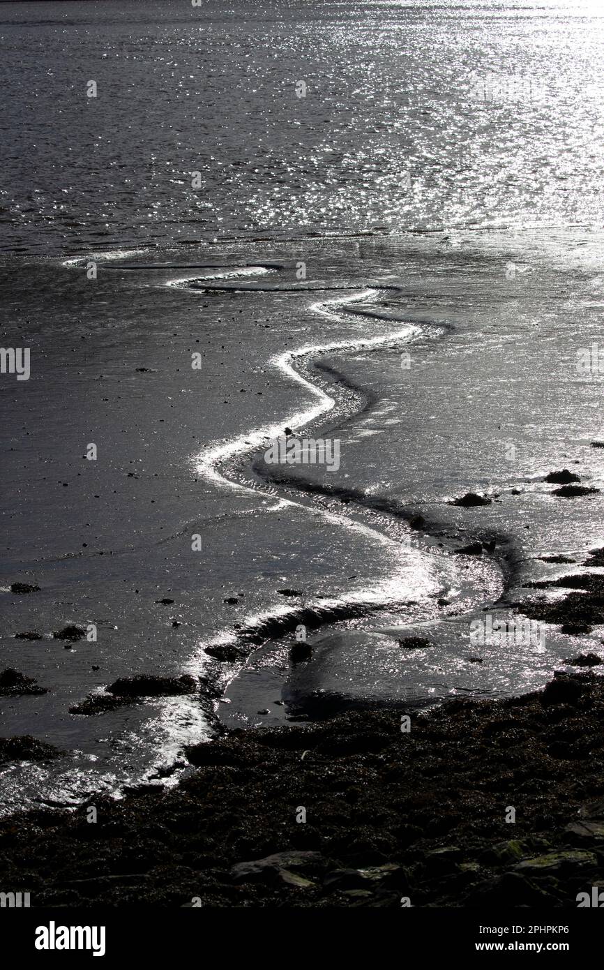 Receding tide and low sunlight expose the mud flats on the banks of the ...