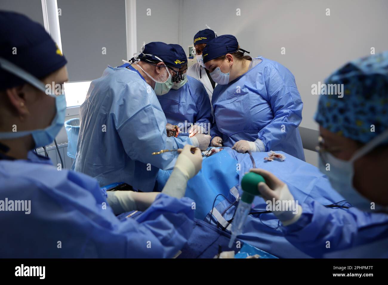 IVANO-FRANKIVSK, UKRAINE - MARCH 28, 2023 - Surgeons of the ...