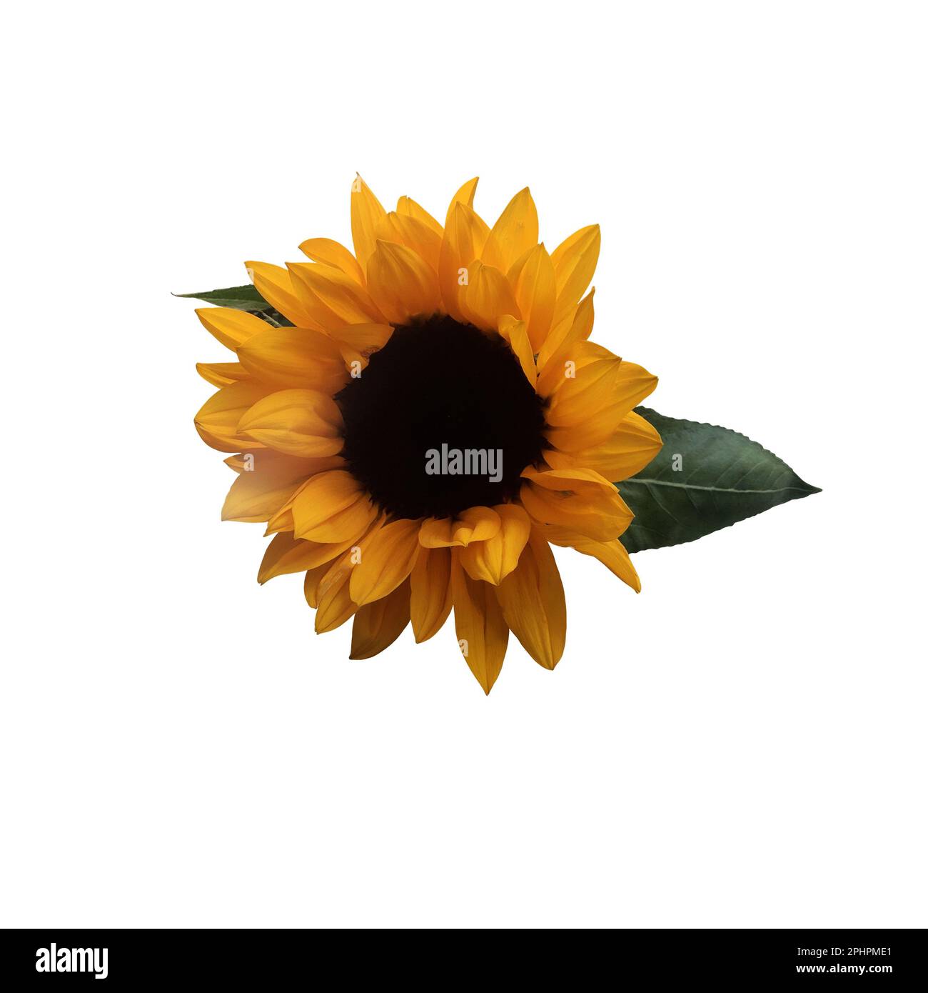 Bright yellow sun soft Cut Out Stock Images & Pictures - Alamy