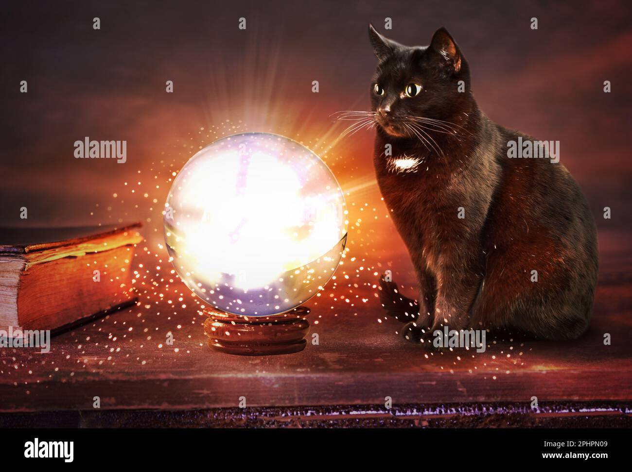 fortune teller medieval crystal ball with cat Stock Photo - Alamy