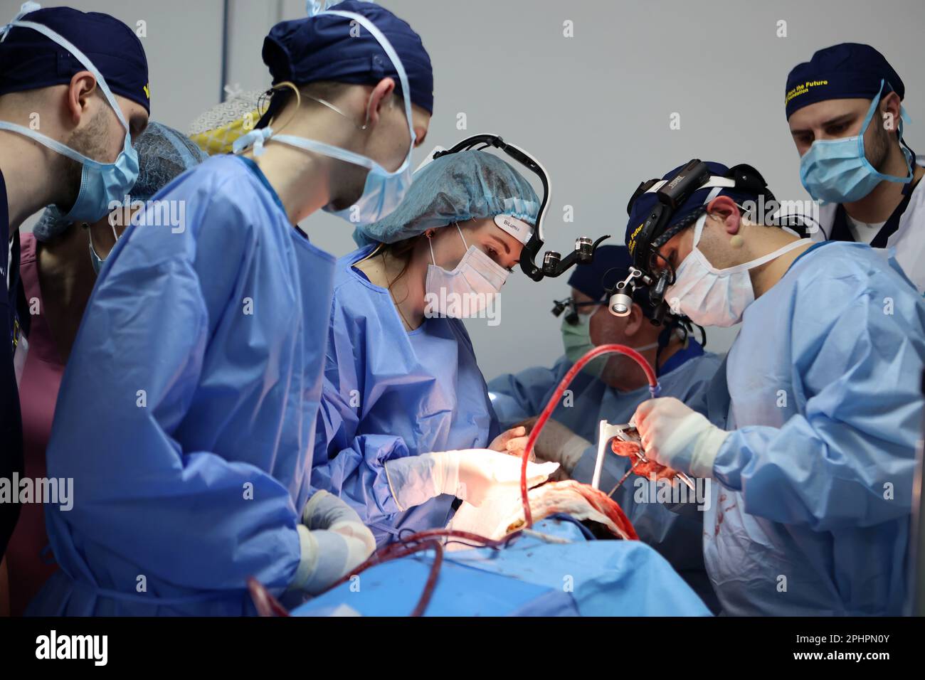IVANO-FRANKIVSK, UKRAINE - MARCH 28, 2023 - Surgeons from the ...