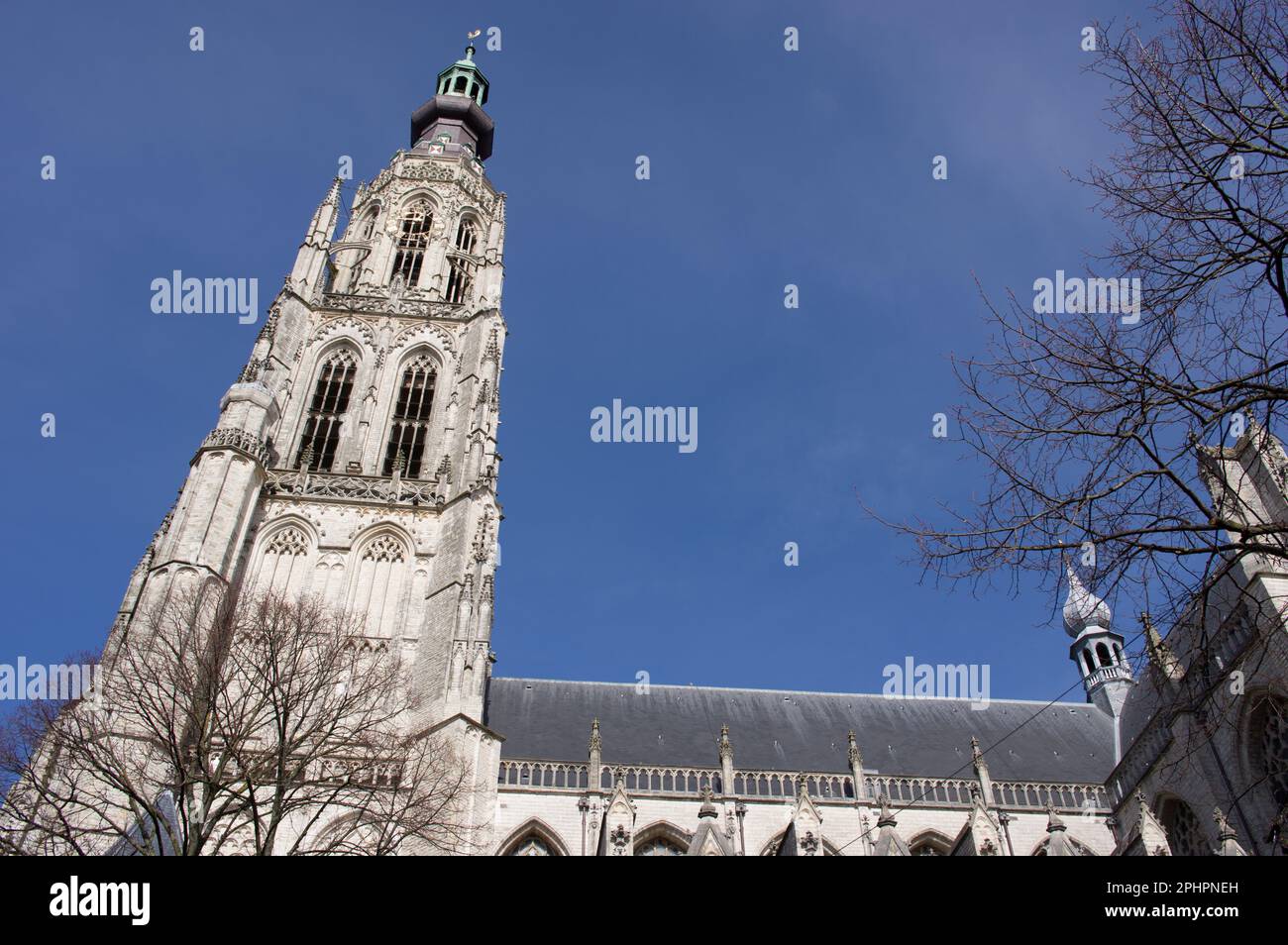 The tower of the Grote kerk in Breda the Netherlands with a blue sky ...