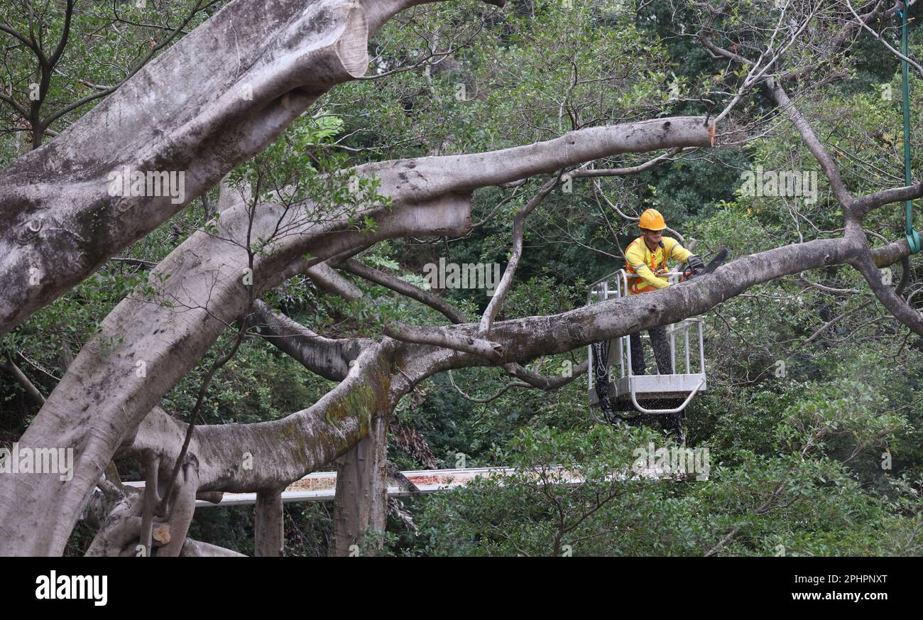 Photo shows an engineer trying to do urgent removal works for one Old ...