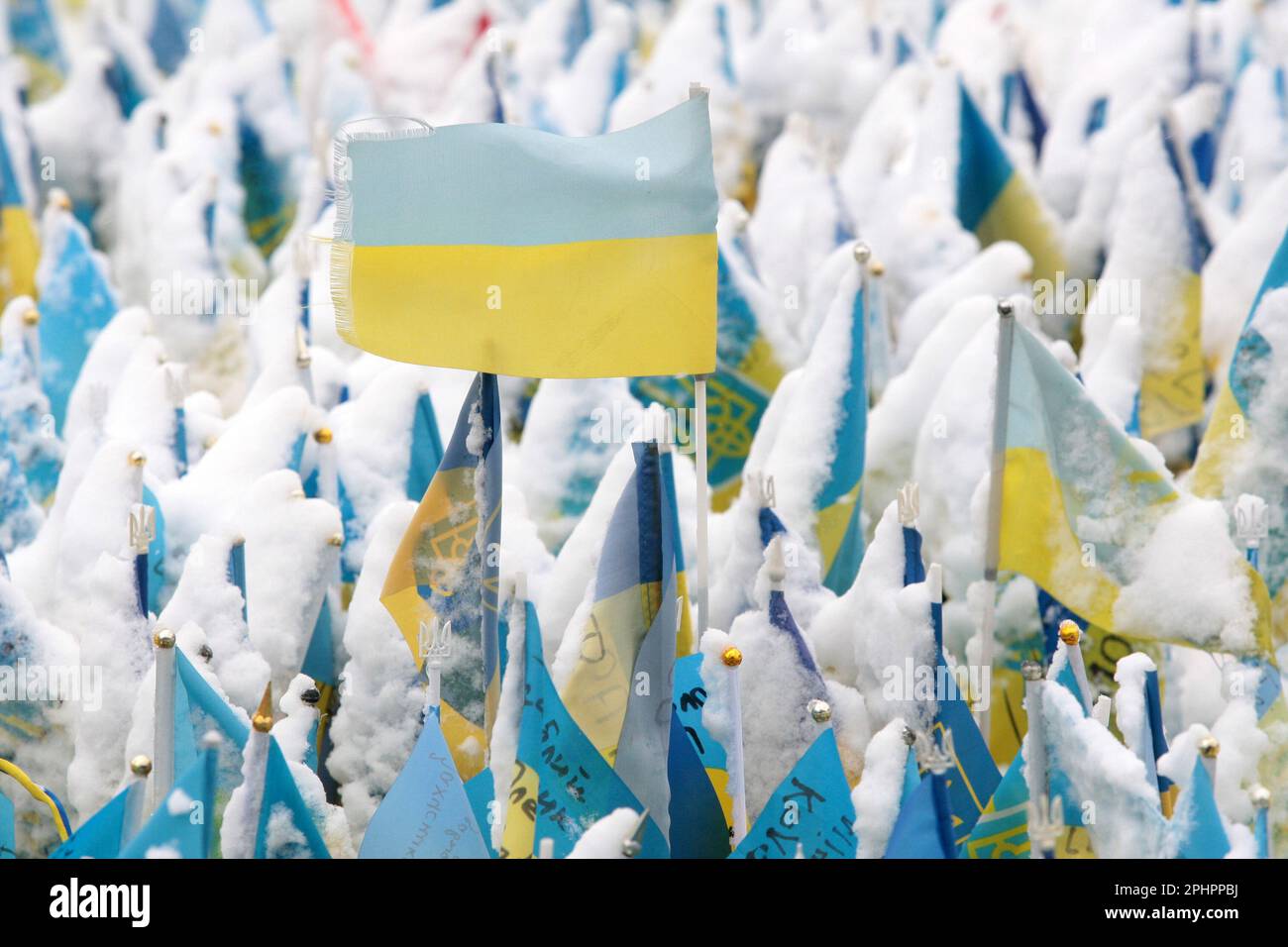 KYIV, UKRAINE - MARCH 29, 2023 - Snow-covered blue and yellow flags in ...