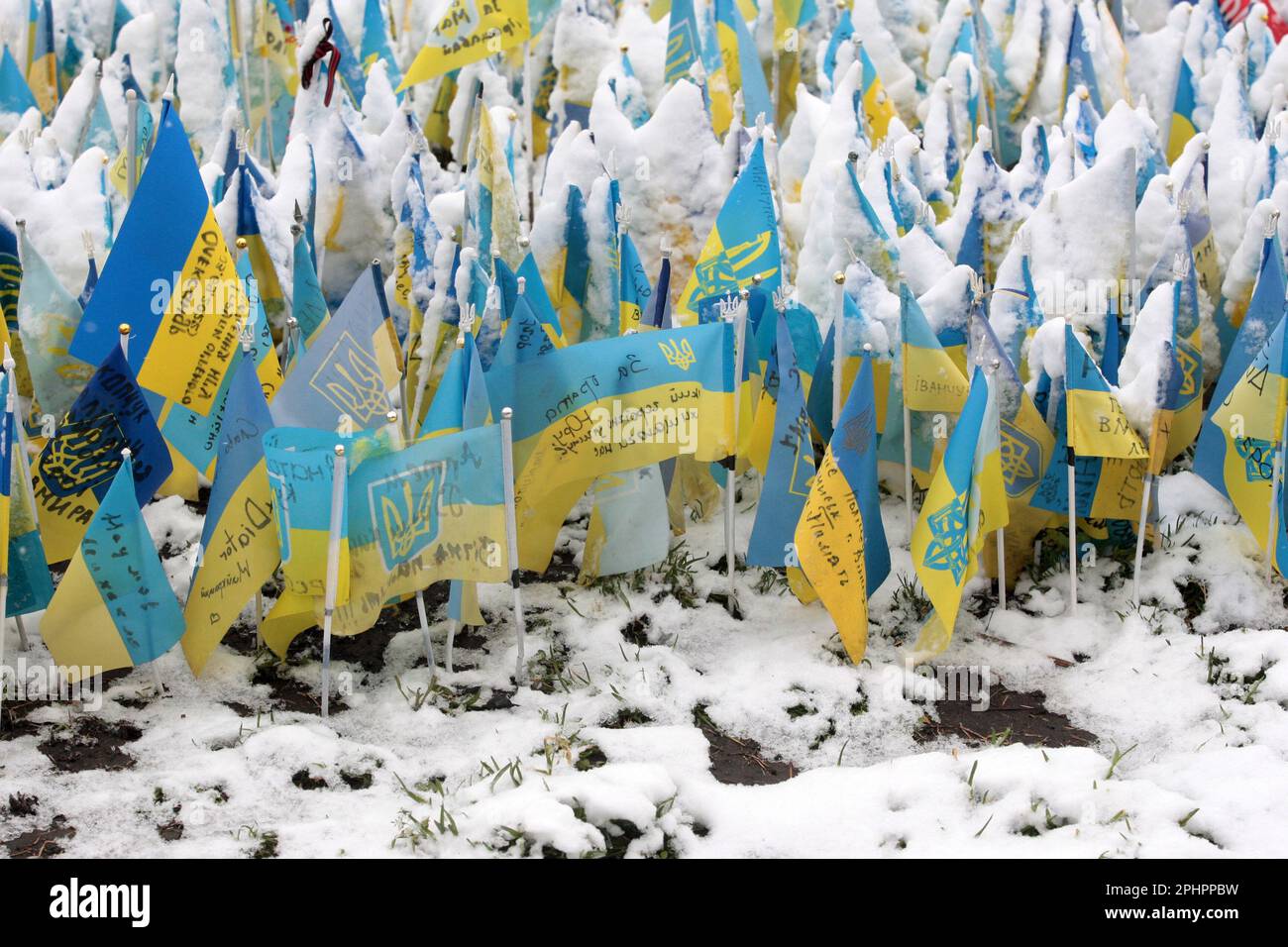 KYIV, UKRAINE - MARCH 29, 2023 - Snow-covered blue and yellow flags in ...