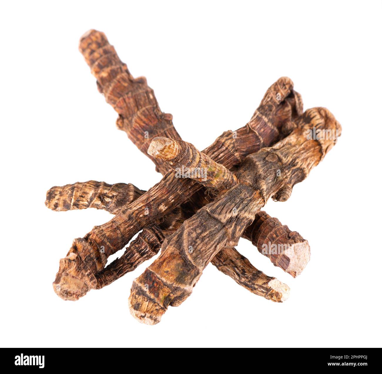 Calamus root isolated on white background. Sweet flag, sway or muskrat ...