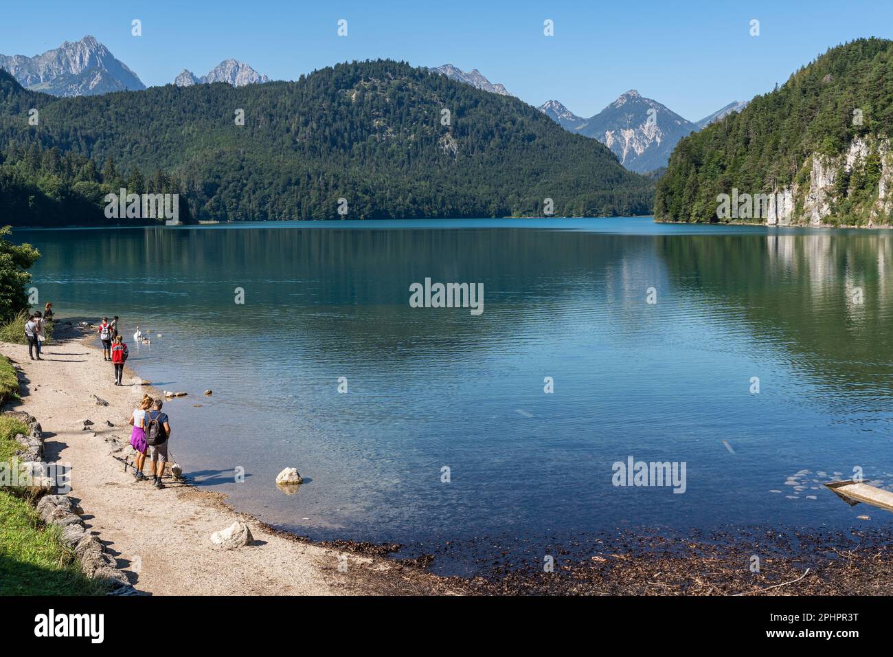 Beautiful alpine lake Alpsee located near Neuschwanstein castle. Alpsee ...