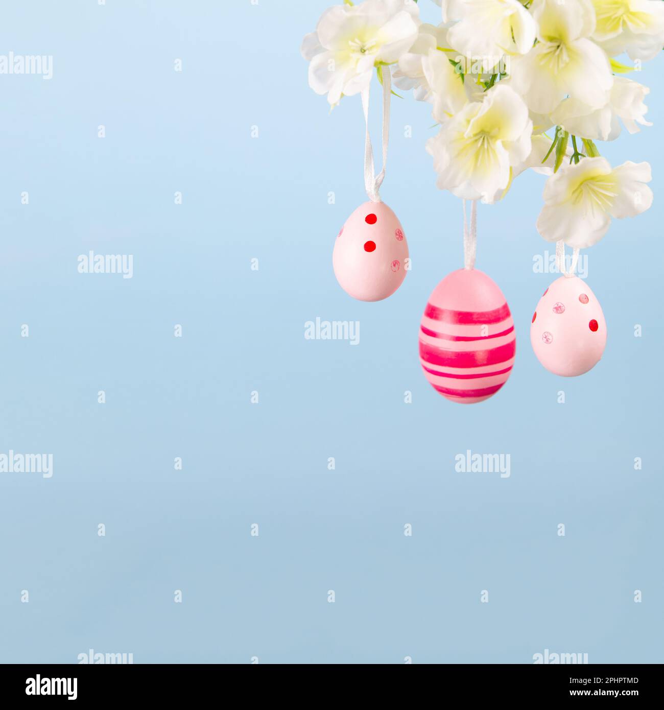 Three beautiful pink Easter eggs hanging from a flowering branch on a ...