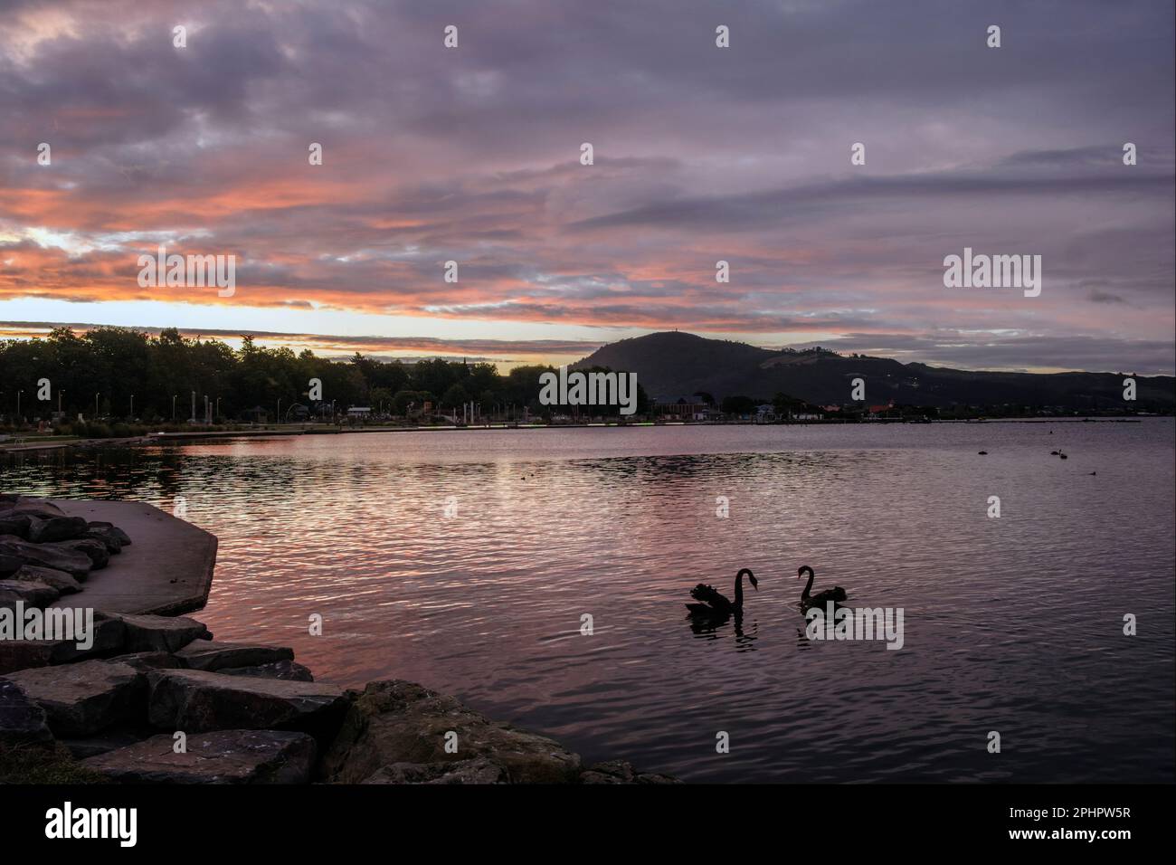 Sunset at Lake Rotorua, North Island, New Zealand Stock Photo - Alamy