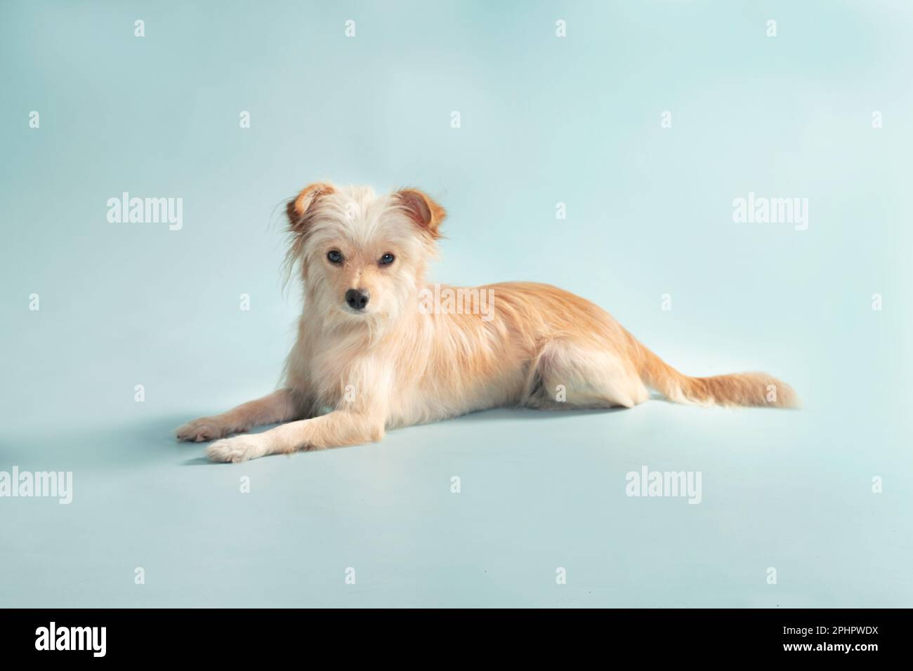 Lifestyle photos at the Dominican Republic Stock Photo - Alamy