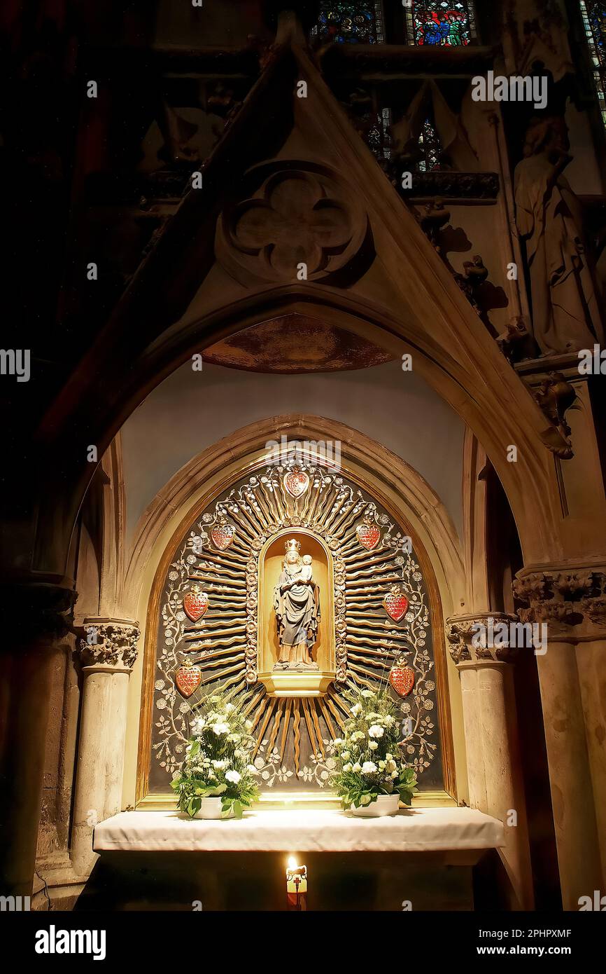 Regensburg cathedral interior hi-res stock photography and images - Alamy