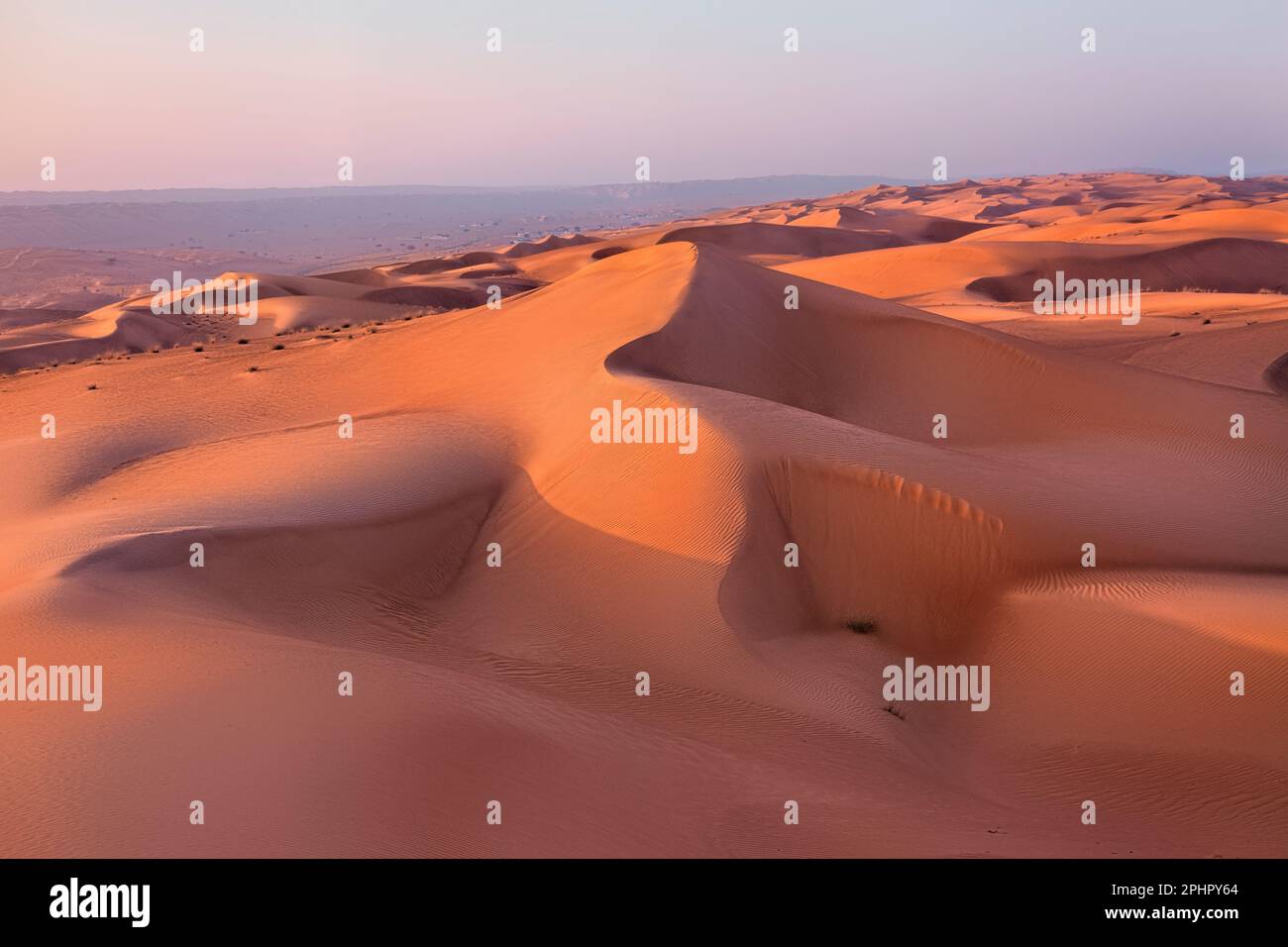 Sculpted sand dunes, Wahiba Sands, Ash Sharqiyah, Oman Stock Photo - Alamy