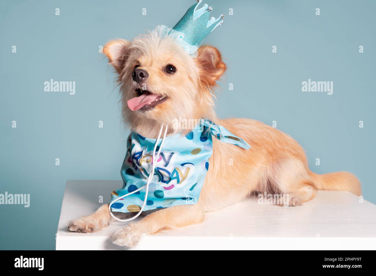 Lifestyle photos at the Dominican Republic Stock Photo - Alamy