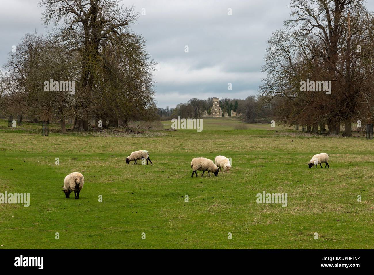 Wimpole hall house and gardens hi-res stock photography and images - Alamy