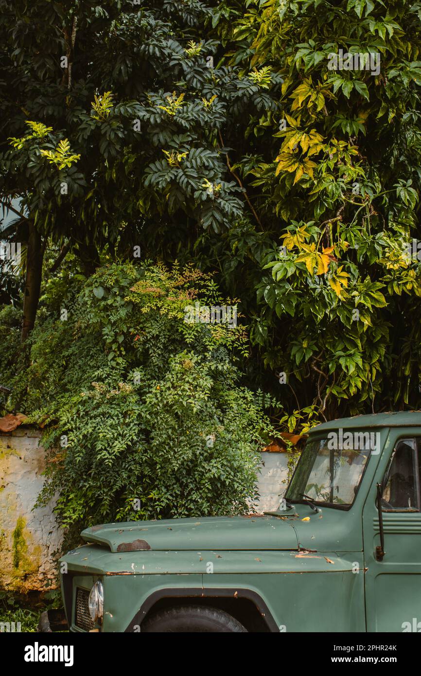 Classic car forest hi-res stock photography and images - Alamy