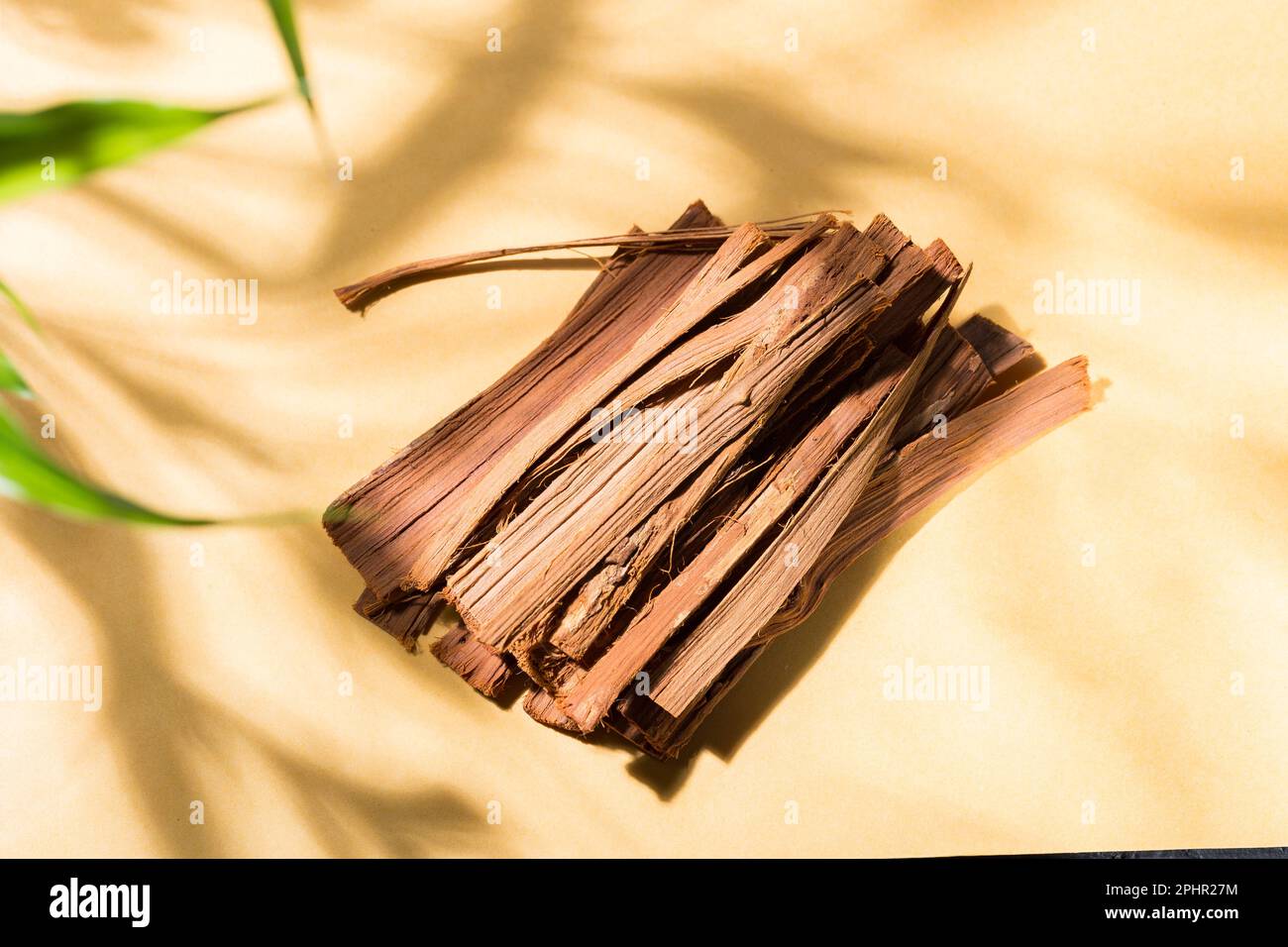 pile of bark of cat's claw medicinal plant, on yellow background top ...