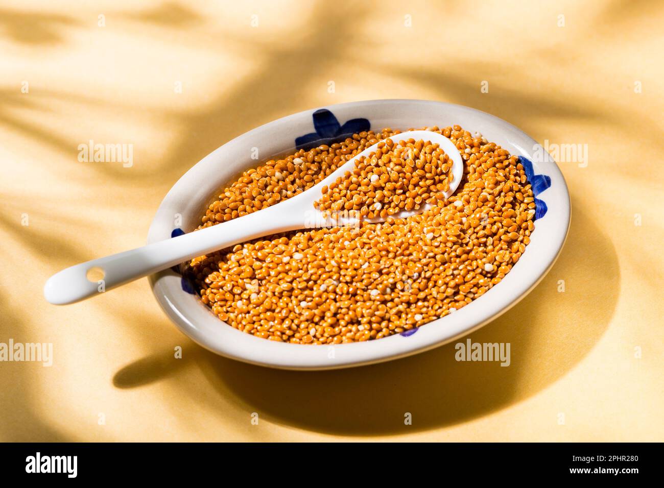 healthy grains of red millet served in a plate on yellow background ...