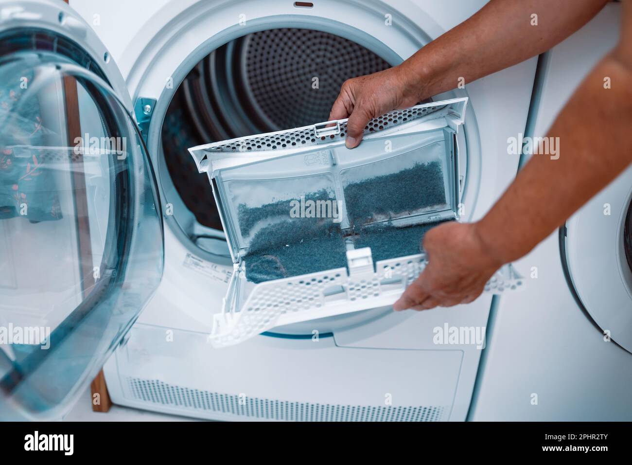 Dust and dirt trapped by the clothes dryer filter Stock Photo - Alamy