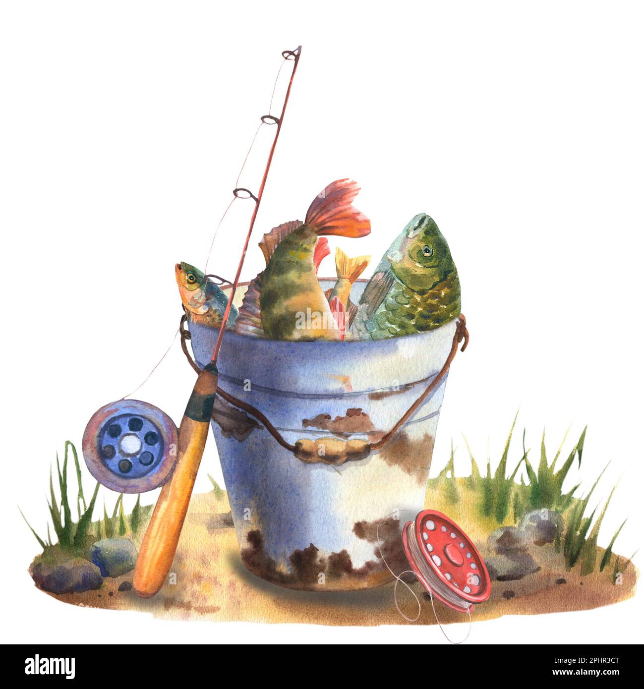 Watercolor beach grass hi-res stock photography and images - Alamy