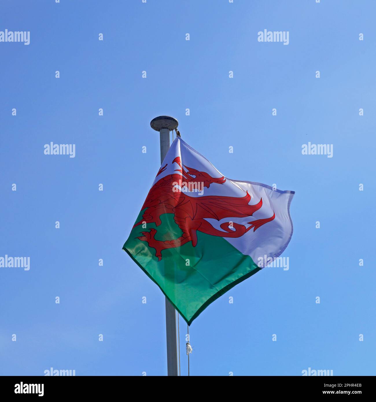 Welsh flags hi-res stock photography and images - Alamy