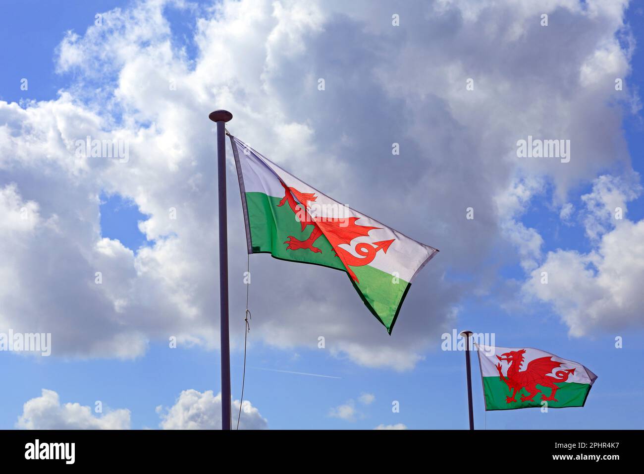 Welsh flags against the sky, March 2023. Spring Stock Photo - Alamy