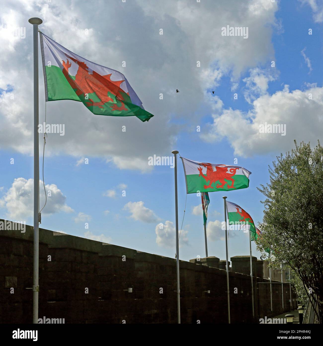 Welsh national flag cardiff castle hi-res stock photography and images ...